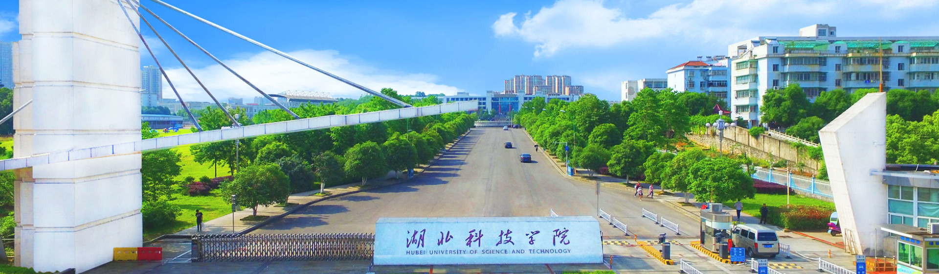 sebms_study_admin_web